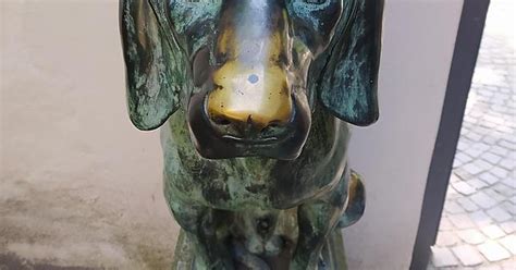 No Exception When I See Snoot I Boop Album On Imgur