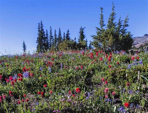 Snow Grass Flats 7 2015 North Western Images Photos By Andy Porter