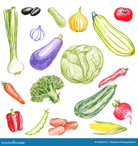 Food Vector Elements Stock Vector Illustration Of Design 56365932