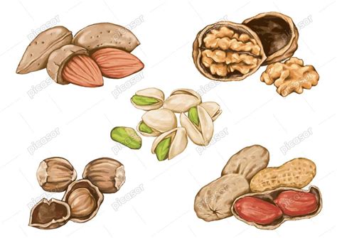 وکتور آجیل و خشکبار پسته،بادام، گردو،فندق نقاشی پیکاسور