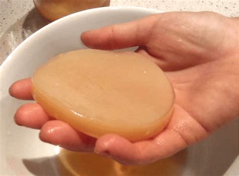 Kombucha Scoby Mother And Babies Download Scientific Diagram