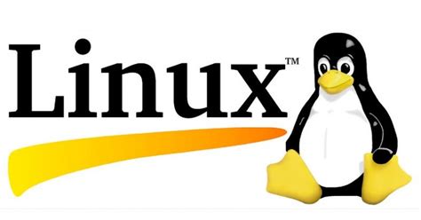 Infotech Saida Mak Linux