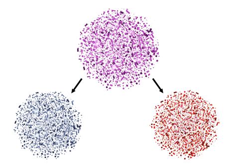 Want To Reduce Political Polarization Save Your Local Newspaper