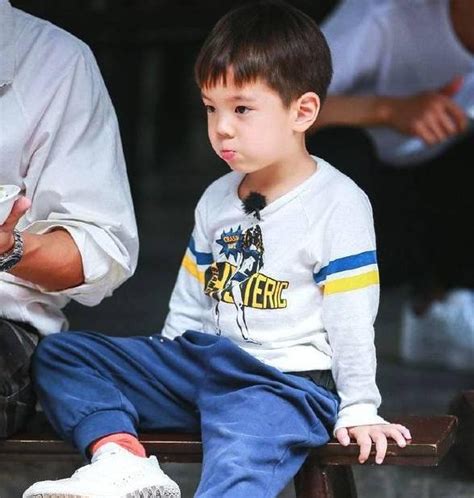 霍思燕生二胎难道是代孕吗？