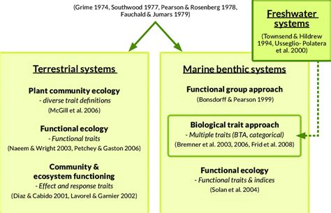 A Summary Of The Major Trait Based Approaches And Terminology That Has Download Scientific