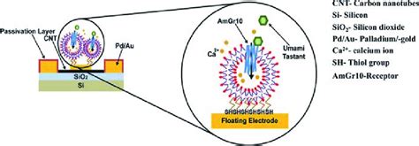 7 Image Showing The Basic Design Of Floating Electrode Based Download Scientific Diagram