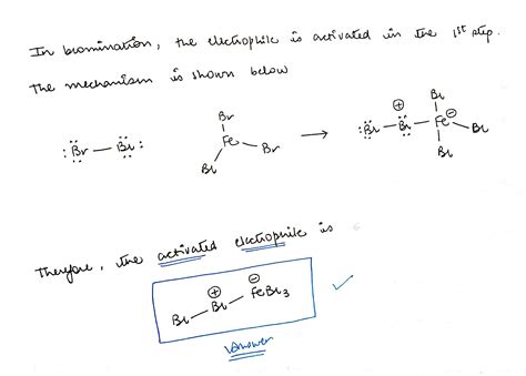 [solved] Select The Activated Electrophile For The Bromination Reaction O Course Hero