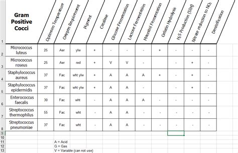 Solved Species A Micrococcus Luteus Species B Escherichia Coli