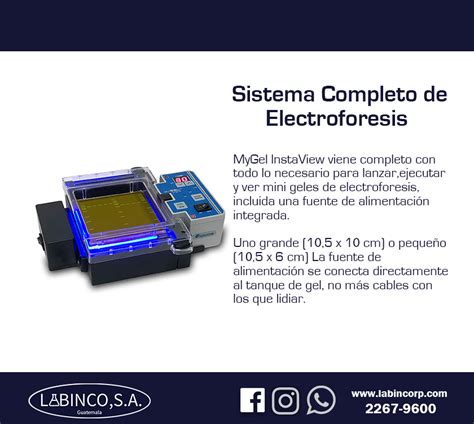 Sistema Completo De Electroforesis Labinco S A