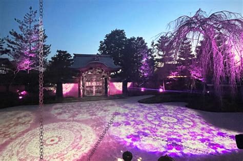 秋の夜間特別拝観～祈～／高台寺 Leaf Kyoto