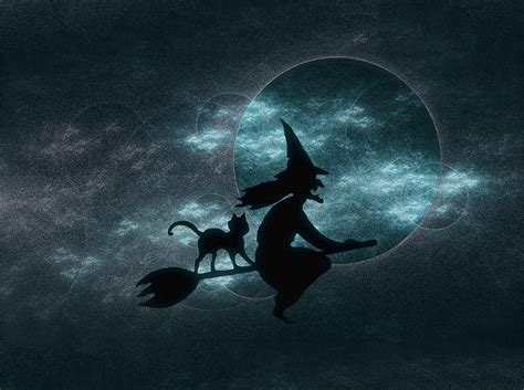 Beautiful Witch Cat Wallpapers Top Free Beautiful Witch Cat