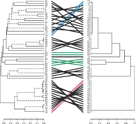 A Tanglegram Of The Clusterings Shown In Figs 4 And 5 This Visualizes