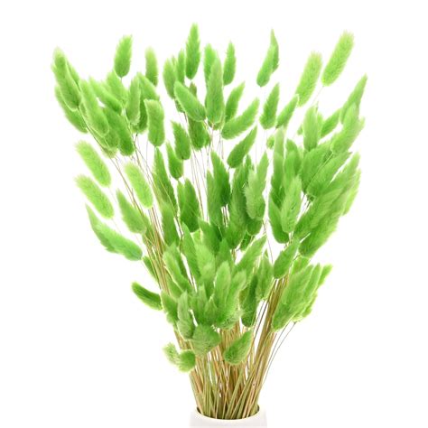 Uxcell 120 Pack Bunny Tails Grass 17 Inch Fluffy Rabbit Tail Grass