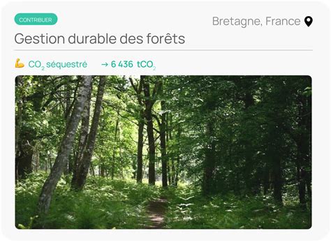 Faire Le Bilan Carbone De Son Entreprise Everyone Eco