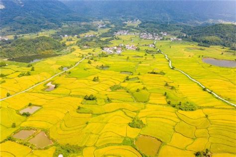 旌德：砥砺十年 打造富民强县新样本 旌德县人民政府