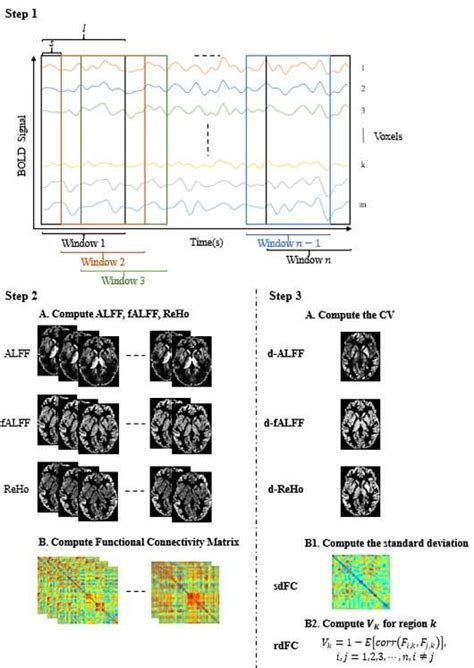 an example calculation process of dynamic measures using hcp datasets