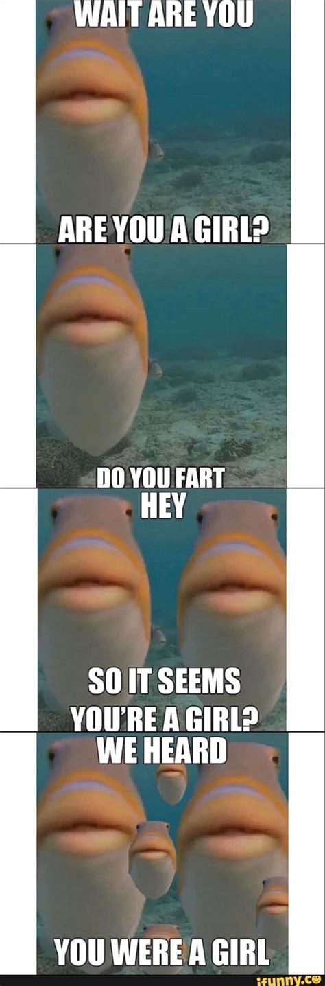 Funny Farting Girl Meme