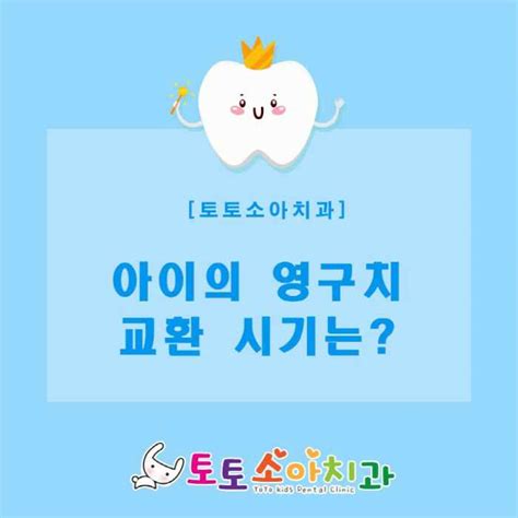 영구치 교환시기와 유치와의 구별 방법 네이버 블로그