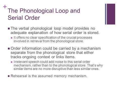 Chapter 2 Short Term Memory Ppt Download Chapter 2 Short Term Memory Ppt Download