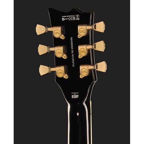 Esp Ltd Ec 256 Blk Thomann Sverige