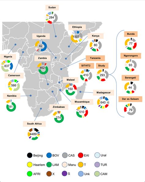 Distribution Map Of Mycobacterium Tuberculosis Lineages In Several Download Scientific Diagram