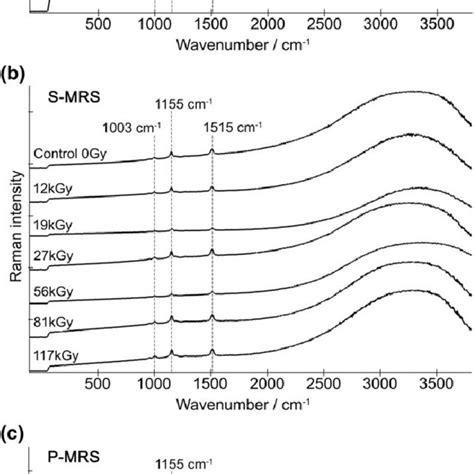 Stacked Average Raman Spectra From Image Scans 2500 Spectra For Download Scientific Diagram