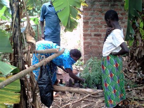 Social Forestry In Uganda Setting A Precedent Globalgiving