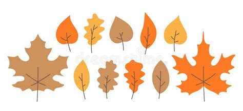 Vector Set Of Autumn Leaves For Design Stock Vector Illustration Of