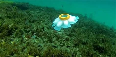 Jellyfish Robots To Be Used To Monitor Fragile Coral Reefs