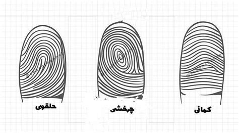 اثر انگشت شما کدام است؟ حقایقی که اثر انگشت از شخصیت شما فاش می‌کند