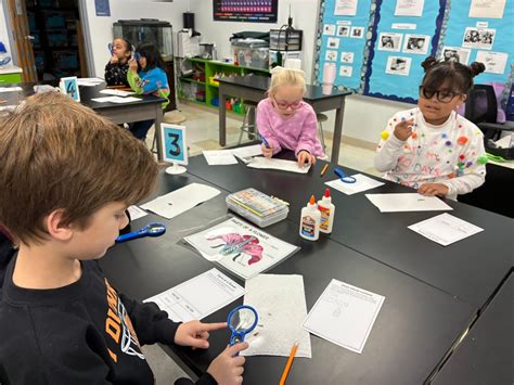 Windsor Park Elementary Corpus Christi Tx