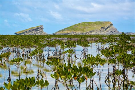 Free Images Landscape Sea Coast Marsh Swamp Wilderness Mountain