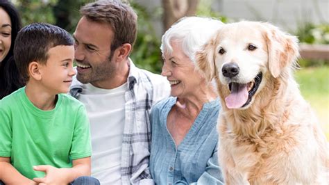 Petting Other Peoples Dogs Even Briefly Can Boost Your Health For