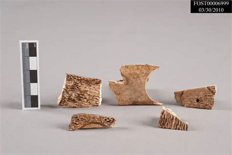 Bone Buttons And Manufacturing Tool Us National Park Service