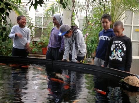 Klass 3b Knutbyskolan 13 14 Fjärilshuset