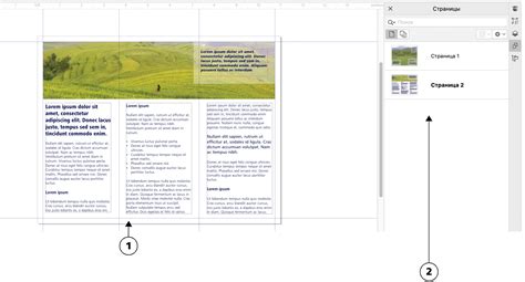 Coreldraw Справка Виды страниц