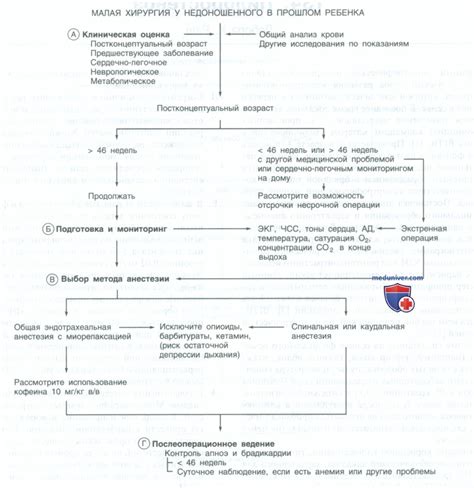 Алгоритм анестезии при малой хирургии у недоношенного в прошлом ребенка ...
