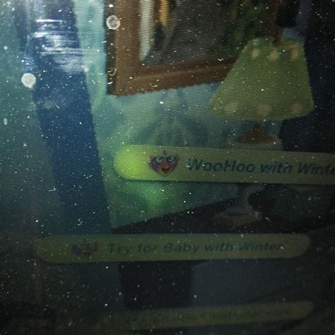 Wicked Whims NOT Working Page Technical Support WickedWhims LoversLab