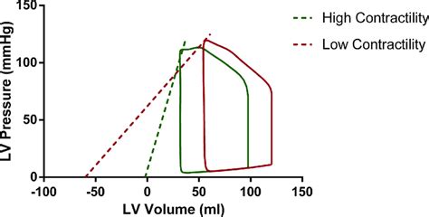 Intraventricular Pressure Volume Loops For Two Scenarios Of High E Es Download Scientific