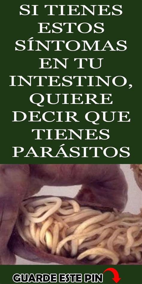 Si Tienes Estos SÍntomas En Tu Intestino Quiere Decir Que Tienes