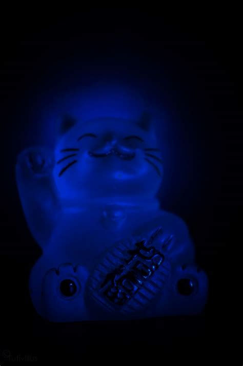 366 Images From The Brain Of Maneki Neko In Blue