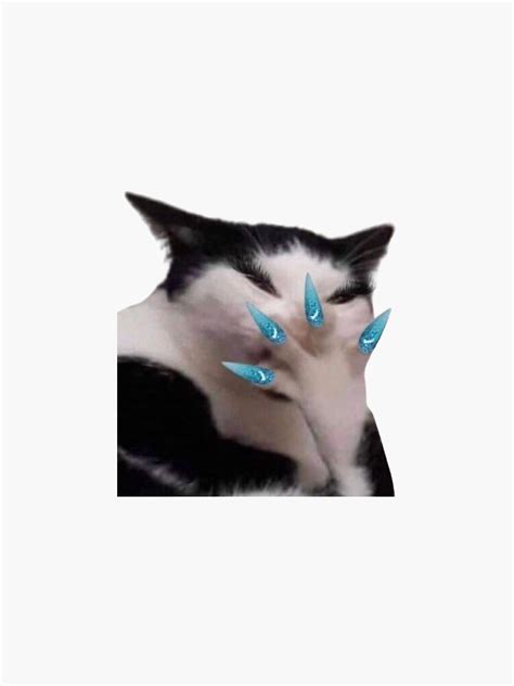 Yass Meme De Gato Fight Me Meme Stickers For Sale Redbubble