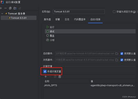 【idea】解决tomcat调试报错cannot Load This Jvm Ti Agent Twice或无法进入断点的问题cannot