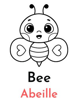 Bilingual French English Insects Bugs Vocabulary Coloring Pages