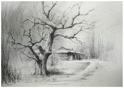 숨 겨울 나무 [연필소묘] Landscape Pencil Drawing 풍경 스케치 겨울 나무 풍경화