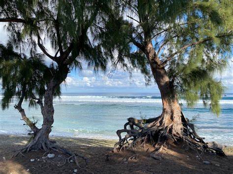 Ocean Observation And Prediction To Support Coastal Sustainability And Resilience GEO Blue Planet