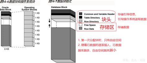 Oracle 体系结构之存储结构详解（逻辑 物理）oracle数据库物理结构和逻辑结构关系图 Csdn博客