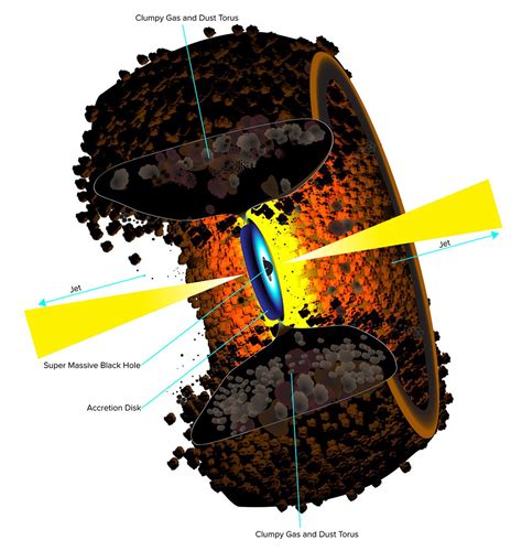 Toroidal Physics