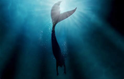 7 Places To See Real Life Mermaids Atlas Obscura