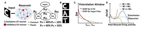 A General Topology Of Recurrent Snn Used For Sequence Learning And